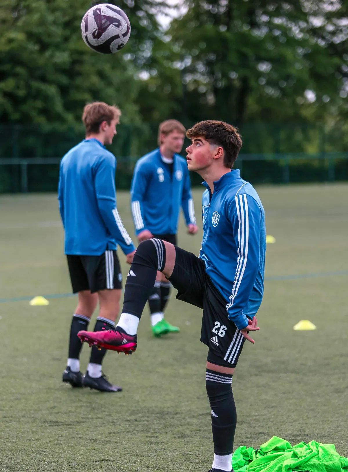 Jamie Breen Free Training