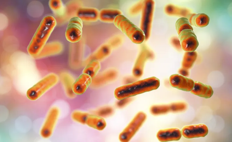 Toxicity Assessment | Clay Lillard Wellness