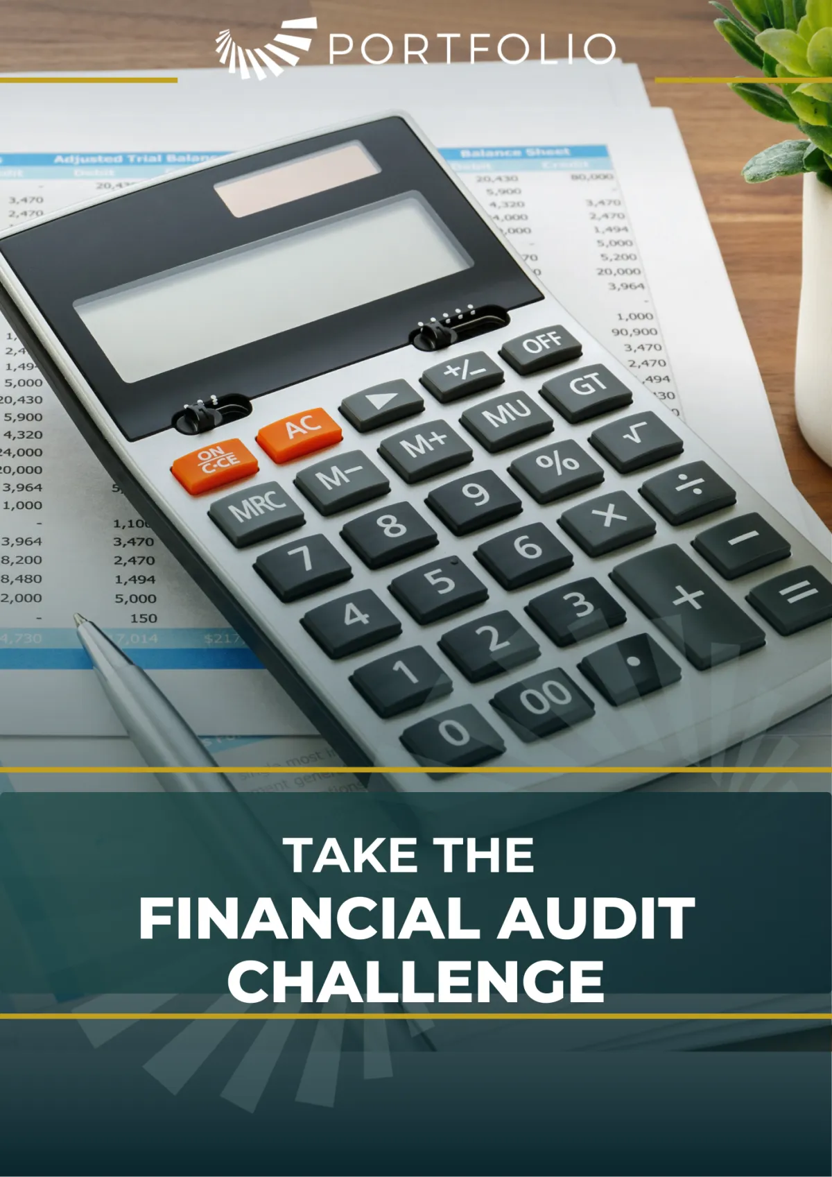 YOUR FINANCIAL AUDIT PACKAGE